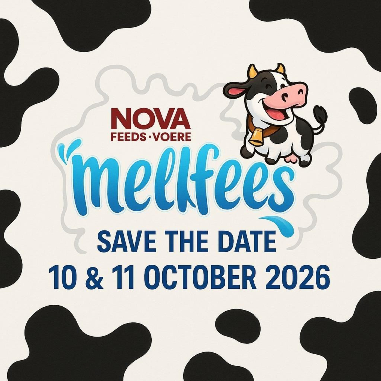 Events – Jeffreys Bay Tourism